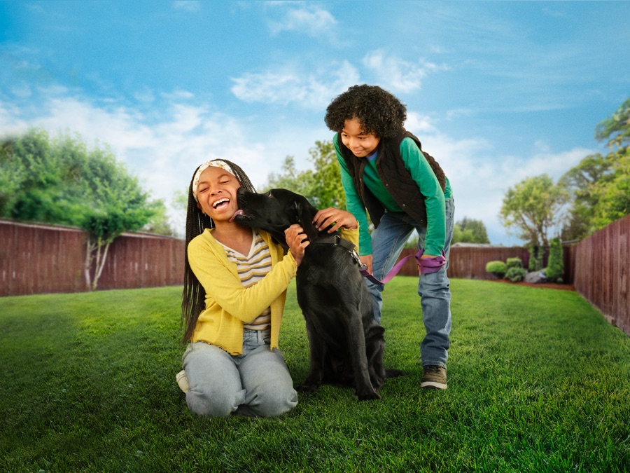 Puppy Place | Apple TV+