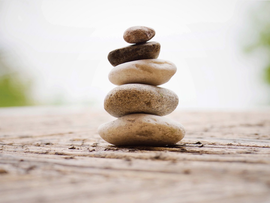 The Meaning of Life: Perspectives from the World's Great Intellectual ...