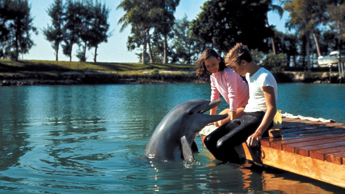 Flipper's New Adventure - Apple TV