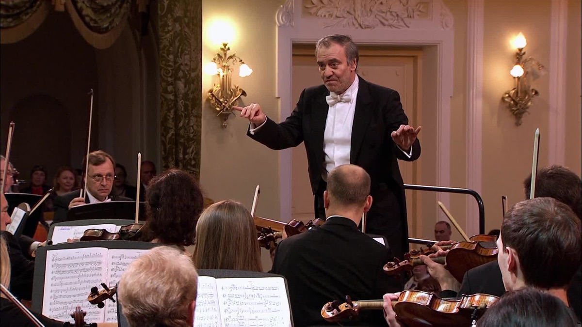 Whitney Lyman - Band in Seattle - Whitney Lyman Concert 220 | Apple TV