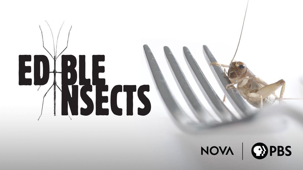 Edible Insects | Apple TV