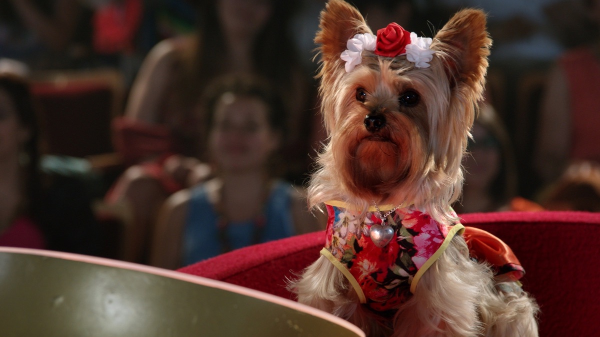 Pup Star: World Tour | Apple TV (uk)