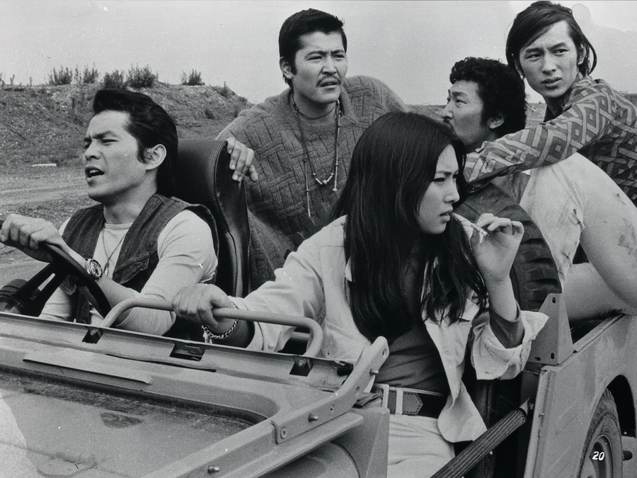 Stray Cat Rock: Wild Jumbo | Apple TV