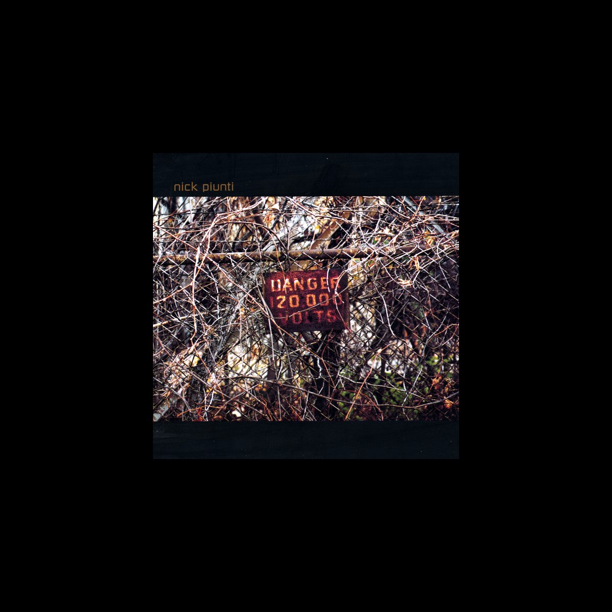 ‎Nick Piunti by Nick Piunti on Apple Music