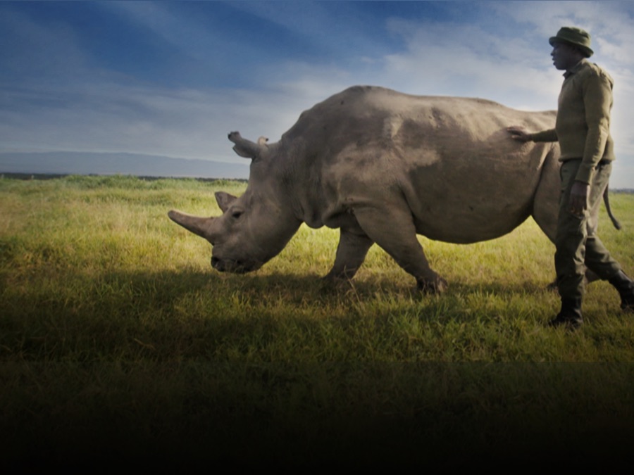 Extinction: The Facts - Apple TV