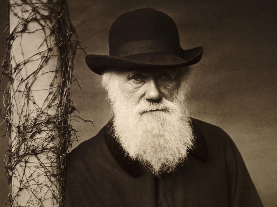 Questioning Darwin - Apple TV