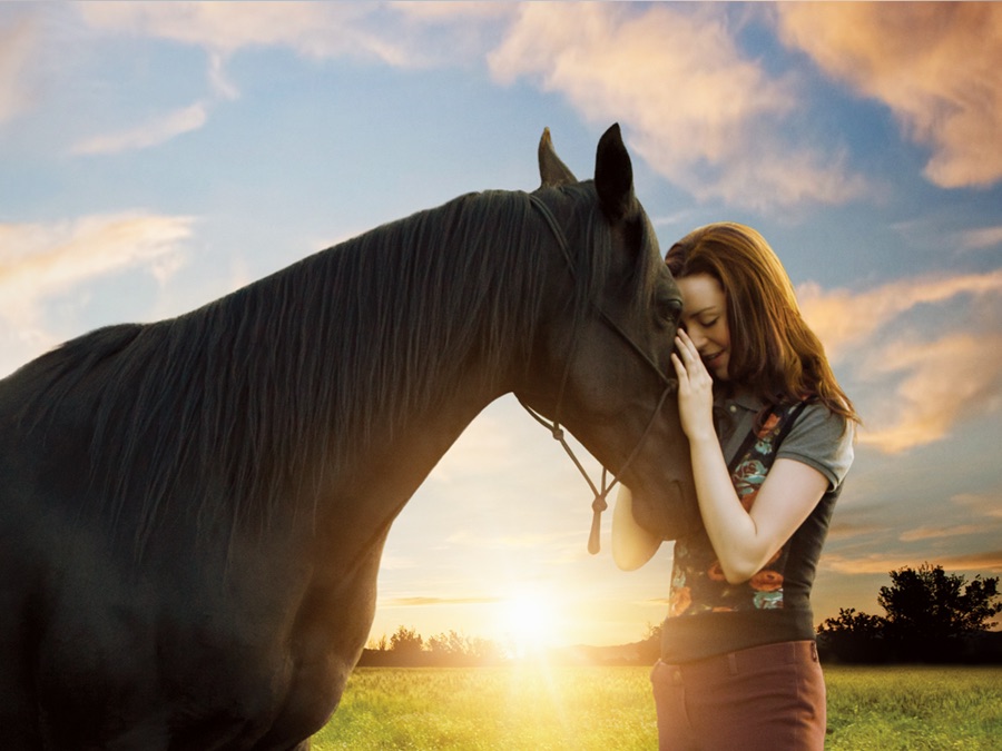 Flicka 3 | Apple TV (ES)