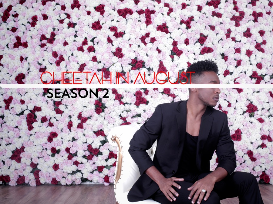 Cheetah In August - Apple TV