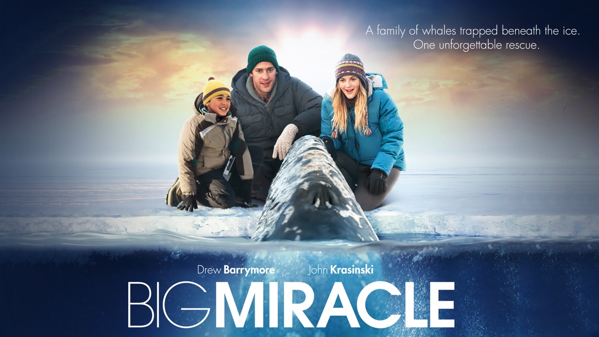Big Miracle | Apple TV