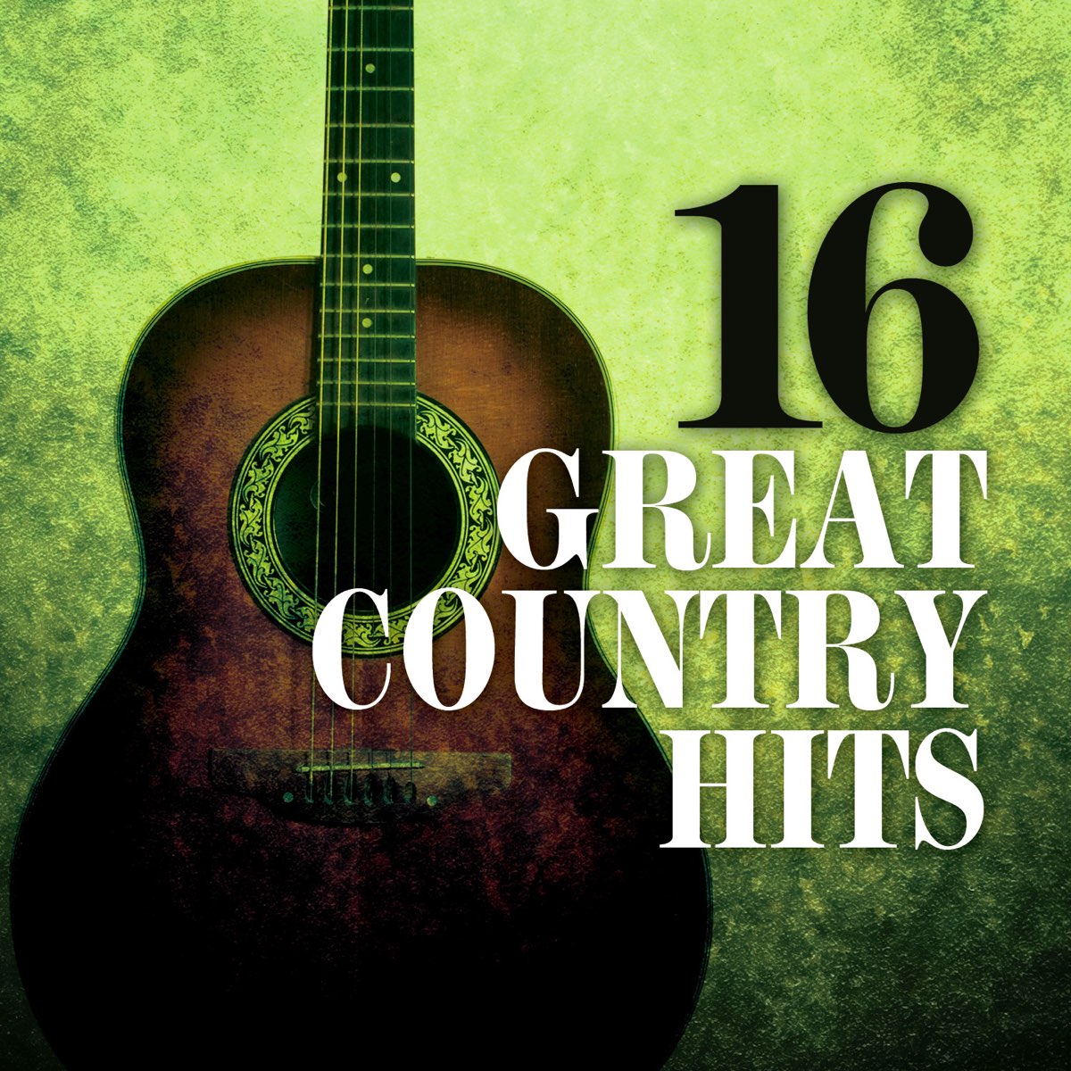 ‎16 Great Country Hits by Nashville Singers on Apple Music