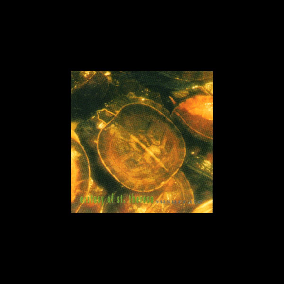 ‎Susurrate by The Ecstasy of Saint Theresa on Apple Music