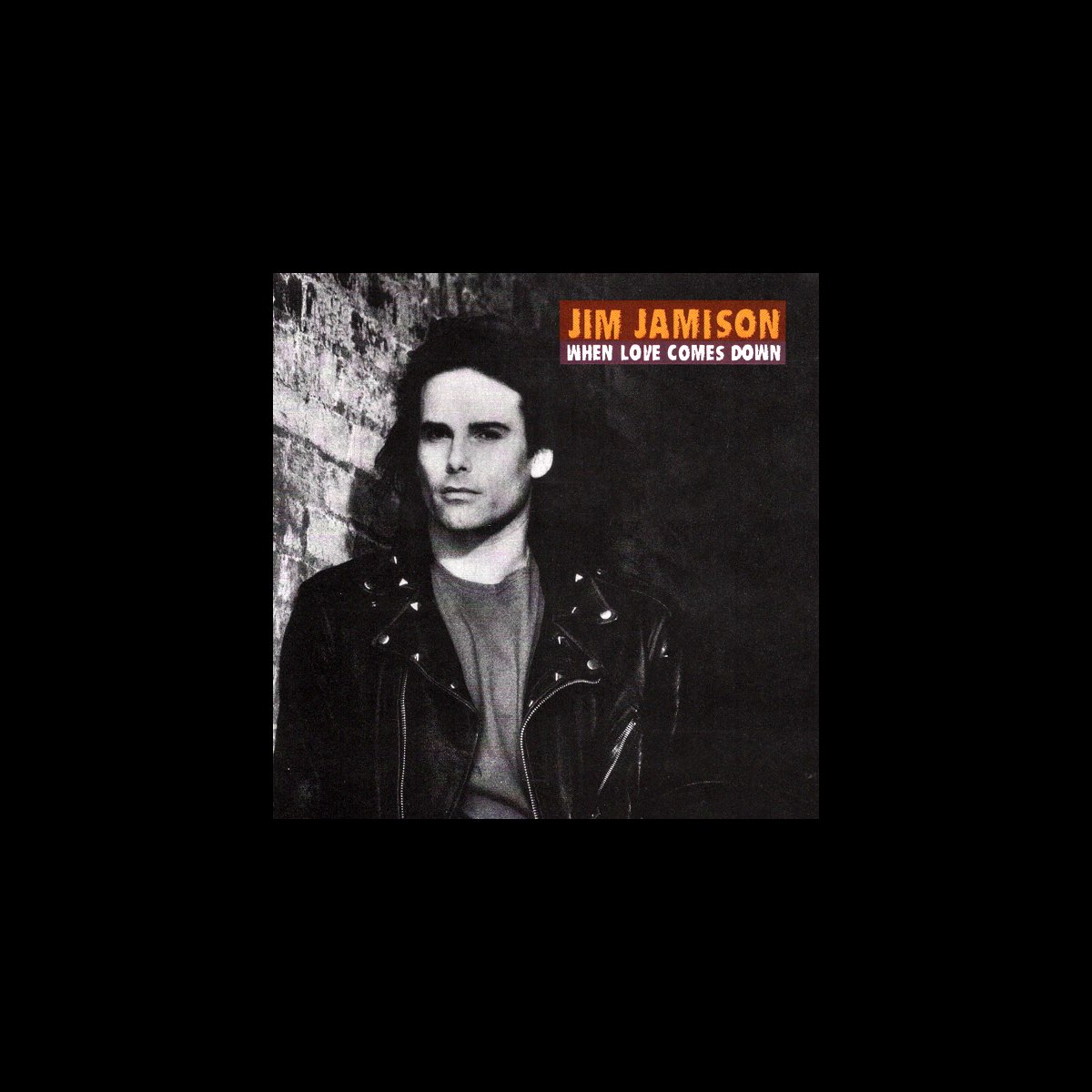 ‎When Love Comes Down by Jimi Jamison on Apple Music