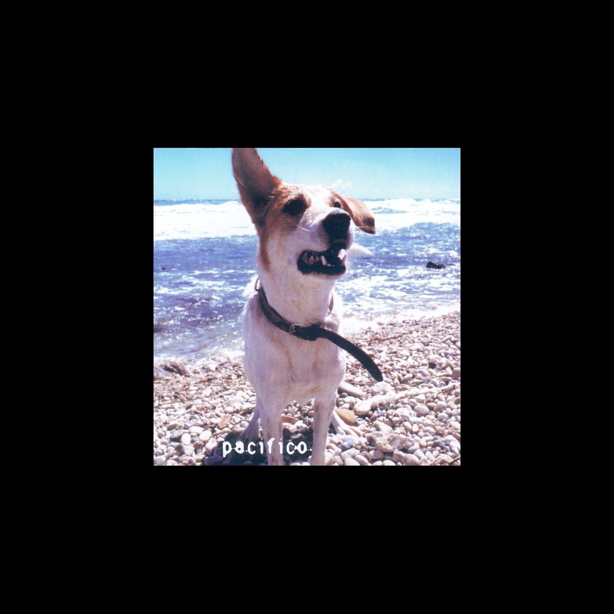 ‎Pacifico by Pacifico on Apple Music