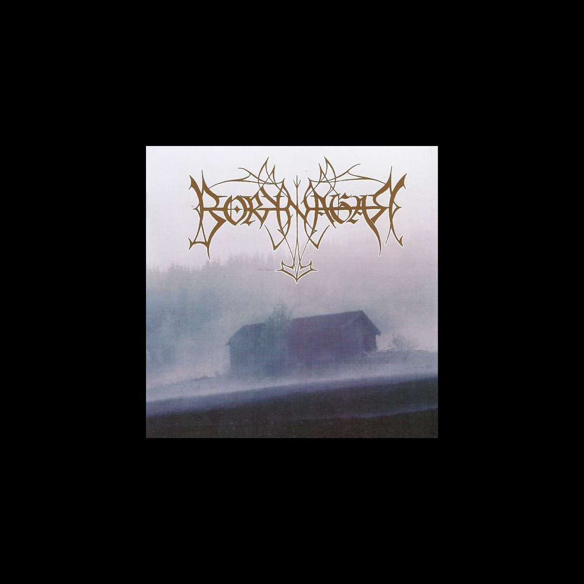 ‎Borknagar by Borknagar on Apple Music