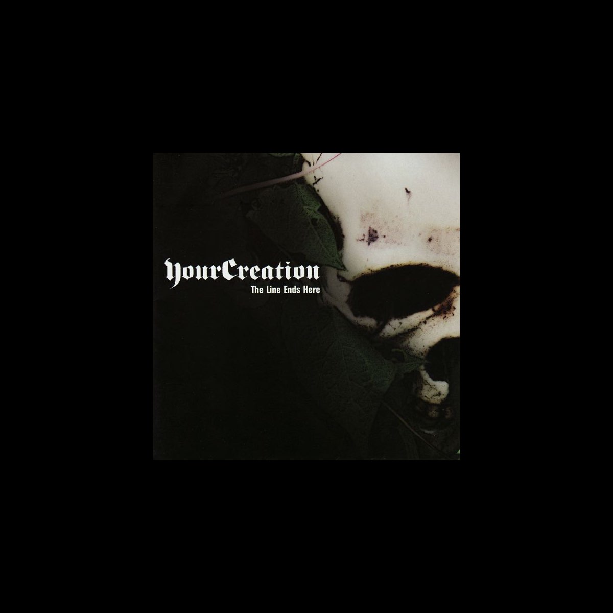 ‎The Line Ends Here by Your Creation on Apple Music