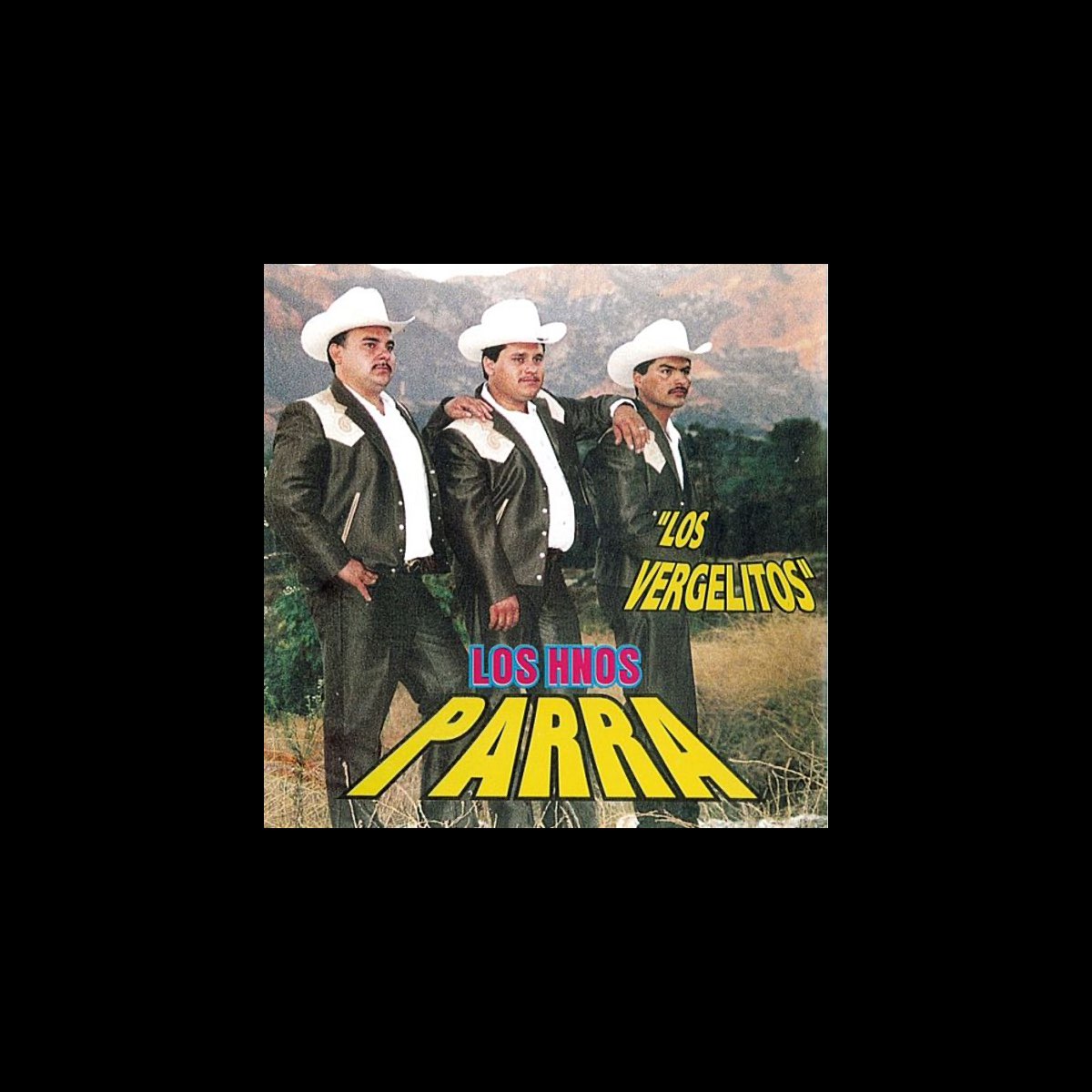 ‎Los Vergelitos de Los Hermanos Parra en Apple Music