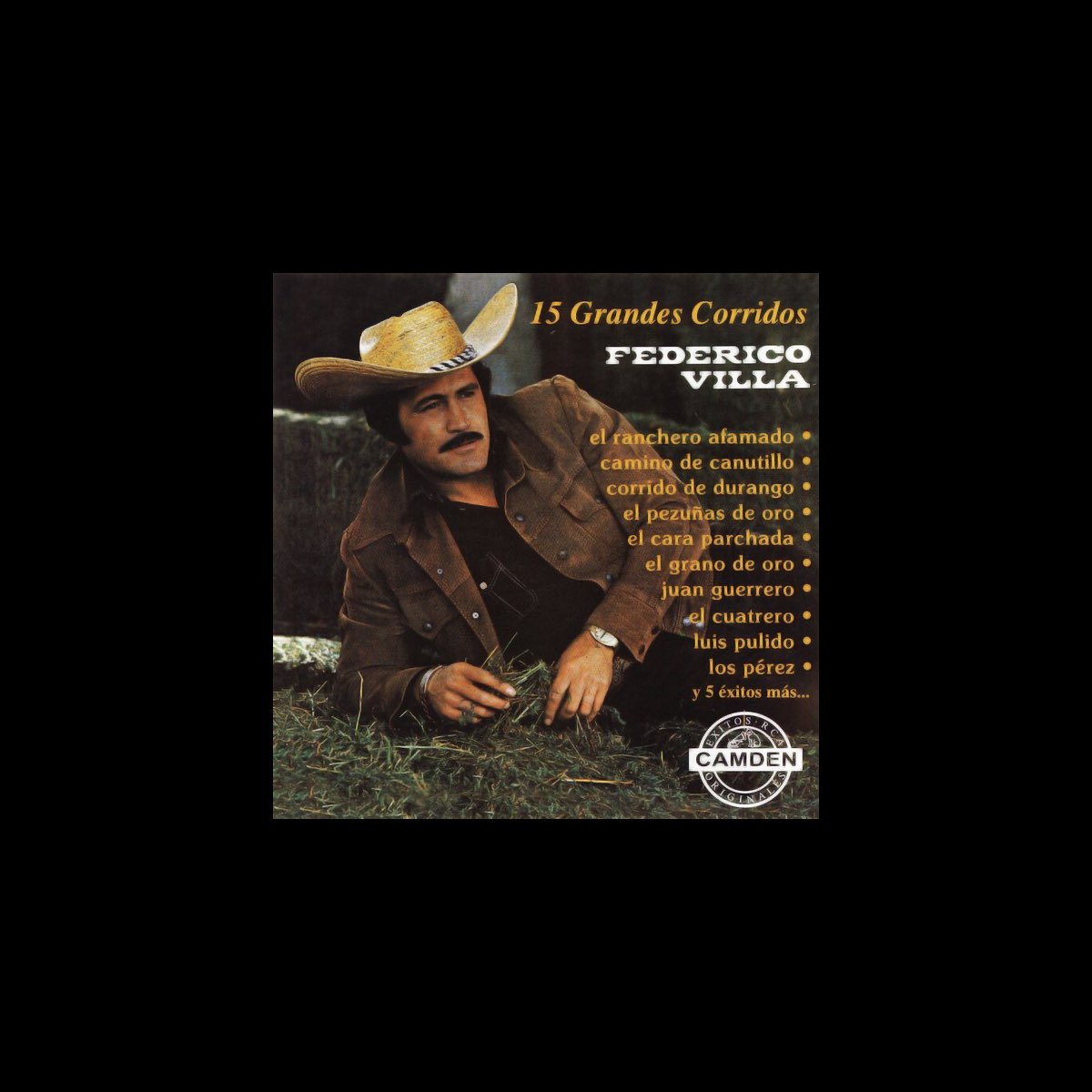 ‎15 Grandes Corridos - Federico Villa by Federico Villa on Apple Music