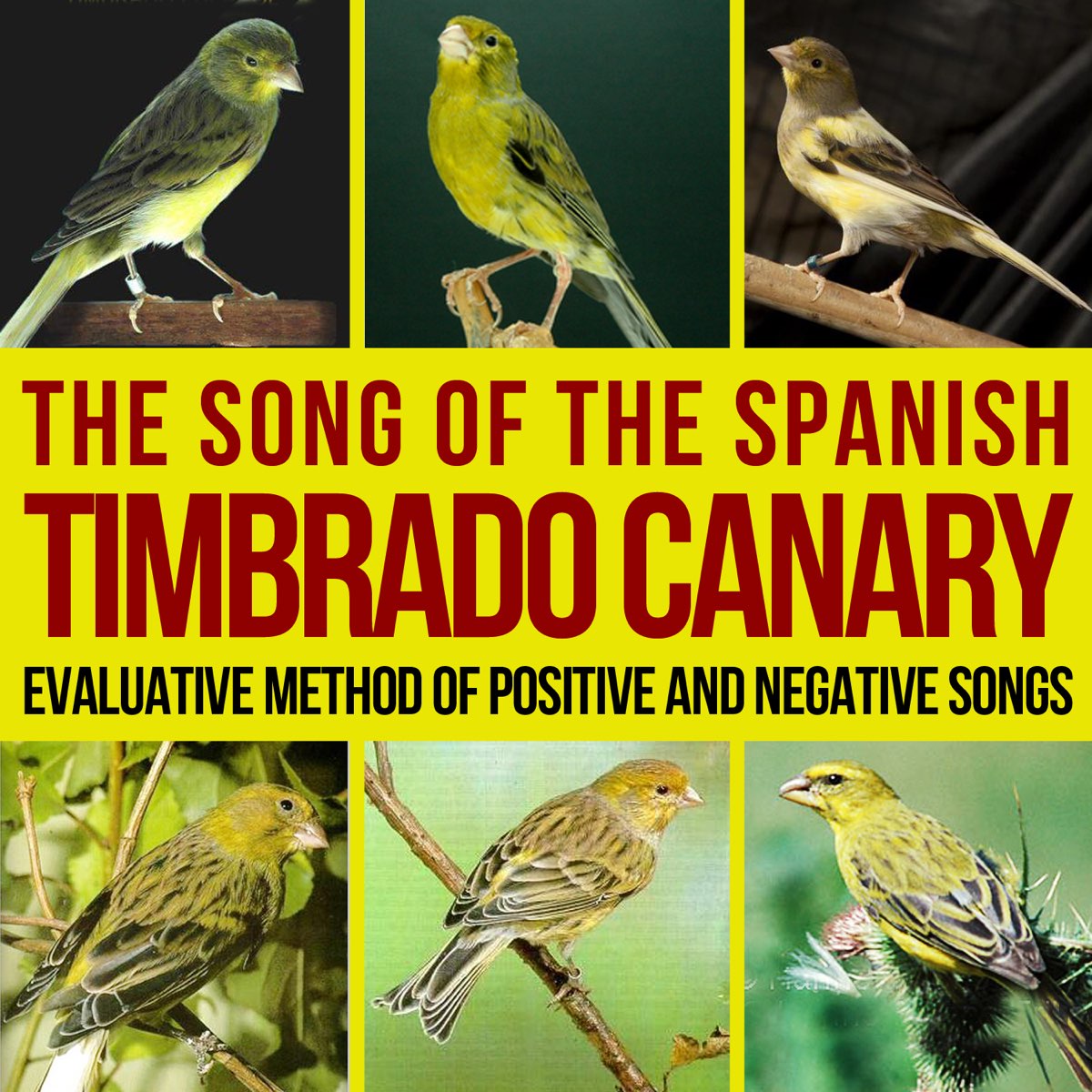 ‎The Song of Spanish Timbrado Canary. Evaluative Method of Positive and ...