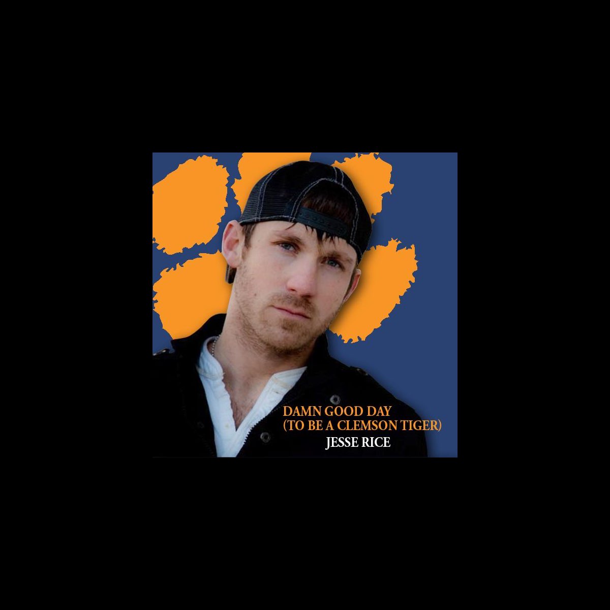 ‎Damn Good Day (To Be a Clemson Tiger) - Single by Jesse Rice on Apple ...