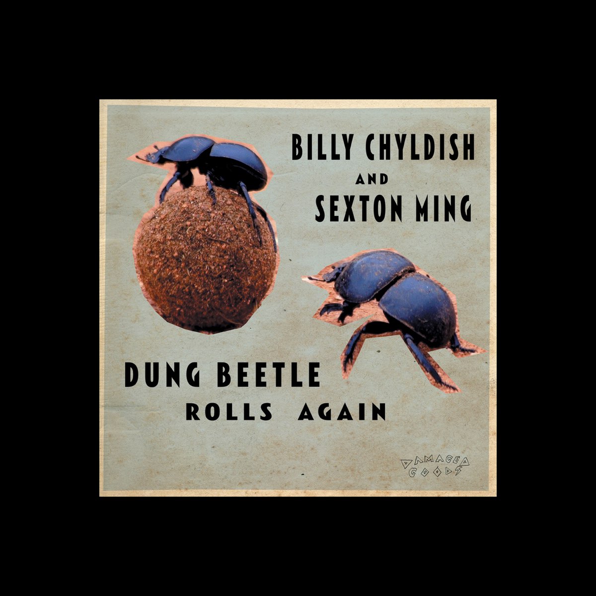 ‎Dung Beetle Rolls Again by Billy Childish & Sexton Ming on Apple Music