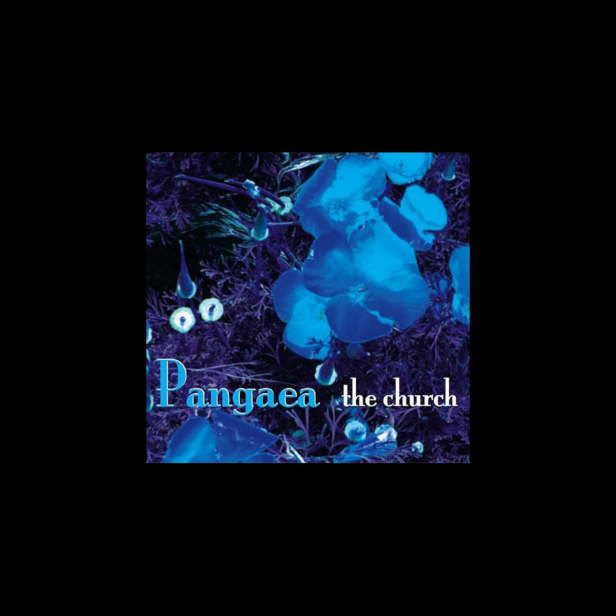 ‎Pangaea - Single by The Church on Apple Music