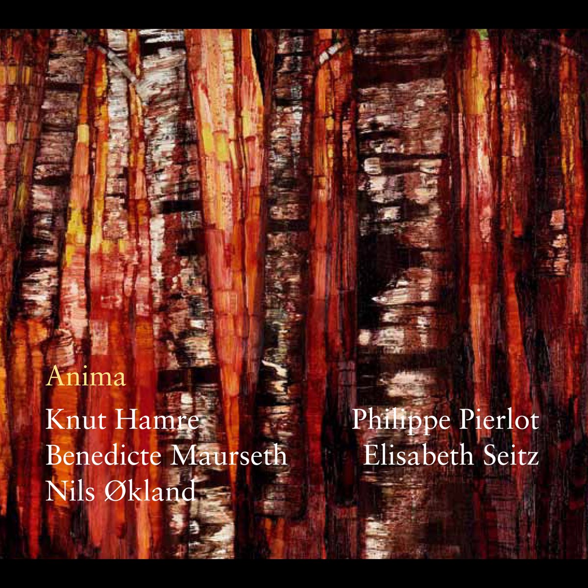 ‎Anima (feat. Nils Økland, Philippe Pierlot & Elisabeth Seitz) by ...