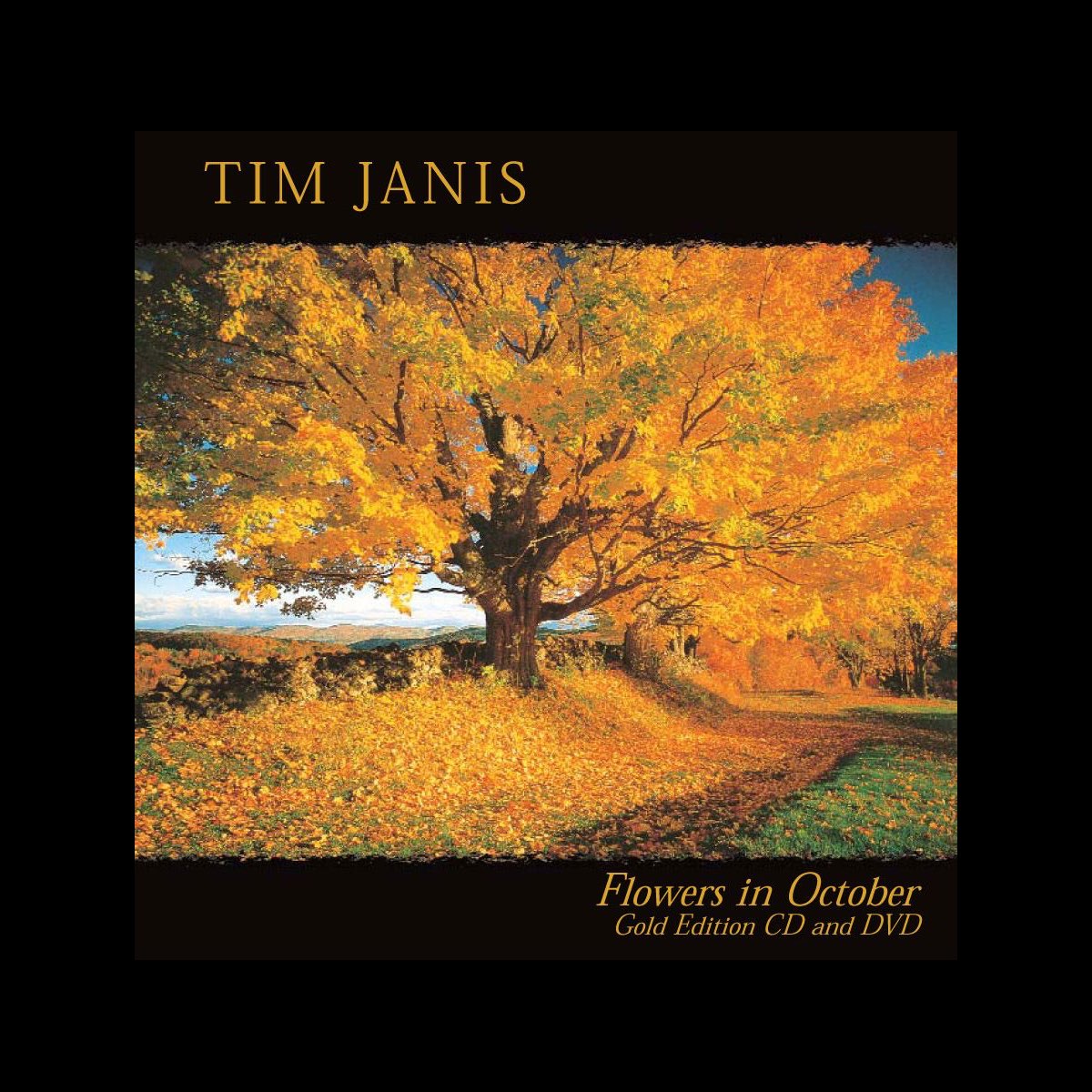 ‎Flowers in October (Gold Edition) by Tim Janis on Apple Music