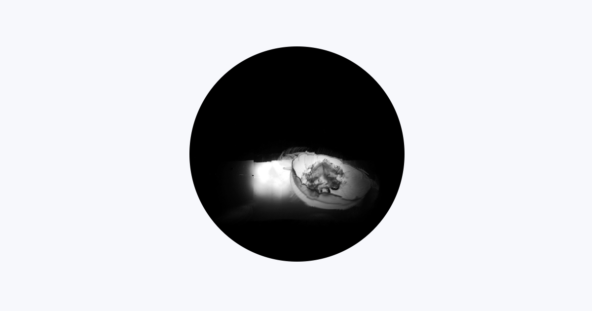 ‎hjkl on Apple Music