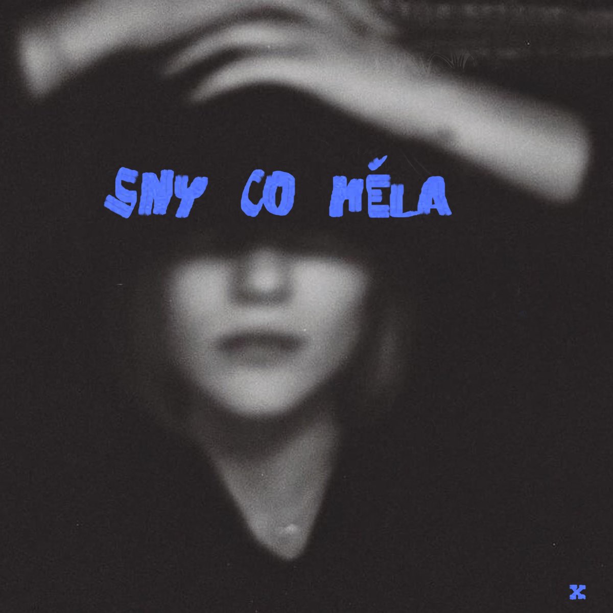 ‎Apple Music 上Annet X的专辑《Sny co měla - Single》