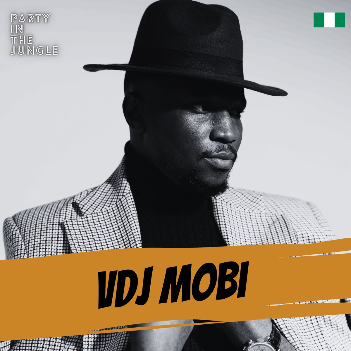 ‎Party In The Jungle: VDJ Mobi, Feb 2023 (DJ Mix) by VDJ Mobi on Apple ...