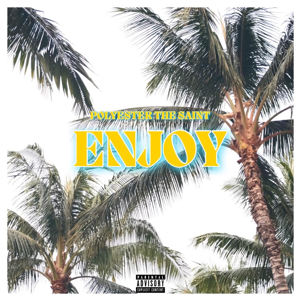 ‎Enjoy by Polyester the Saint on Apple Music