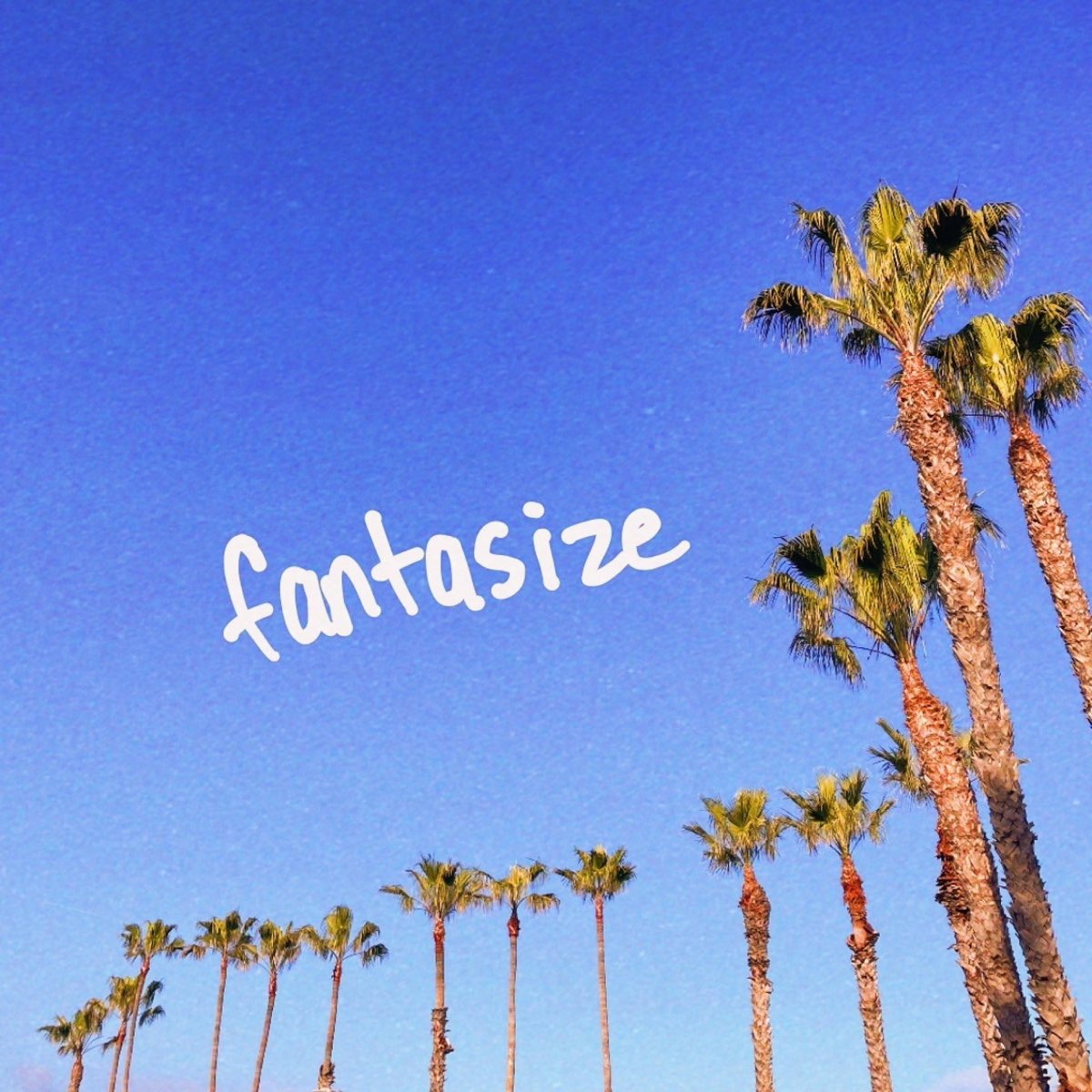‎Fantasize - Single by sammy rash on Apple Music