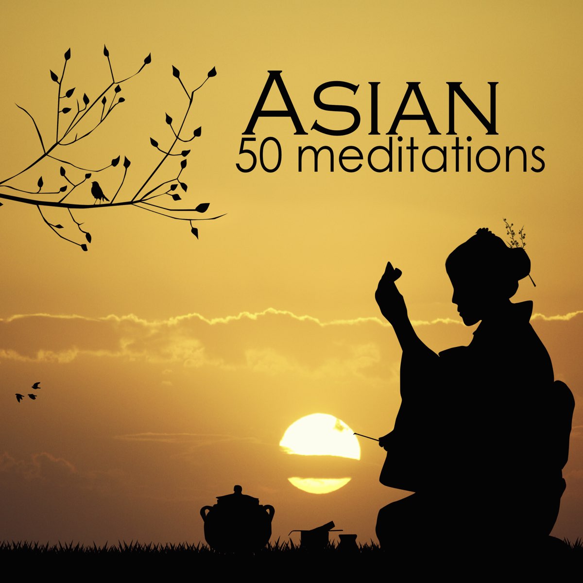 ‎asian Music Academyの「asian 50 Meditations Traditional Instrumental