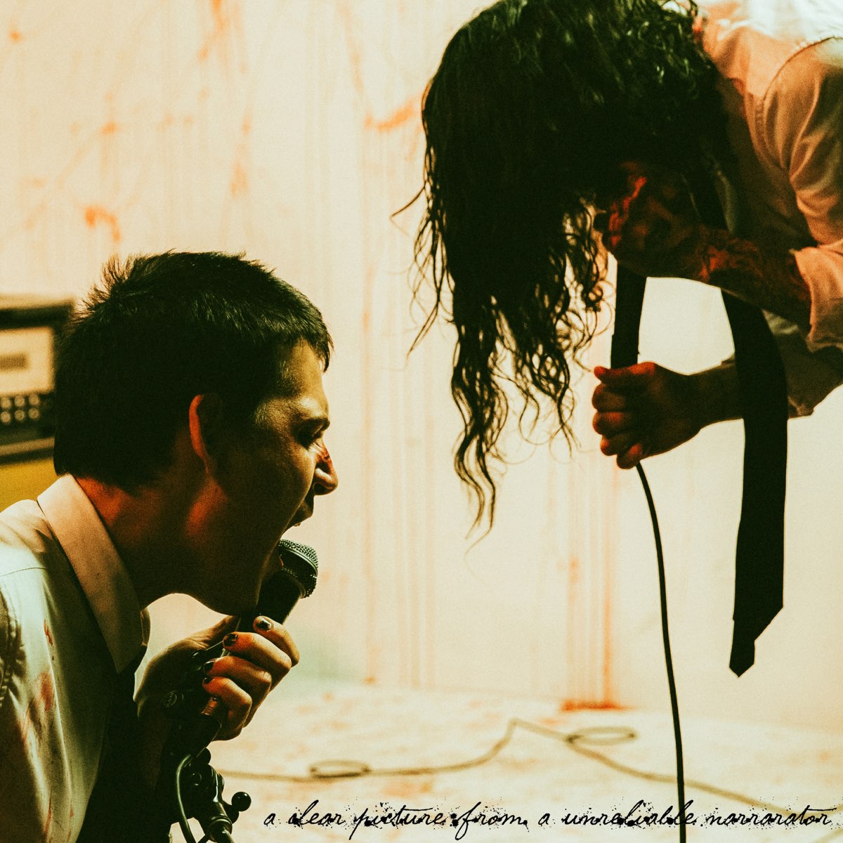 a Clear Picture From A Unreliable Narrator Single By