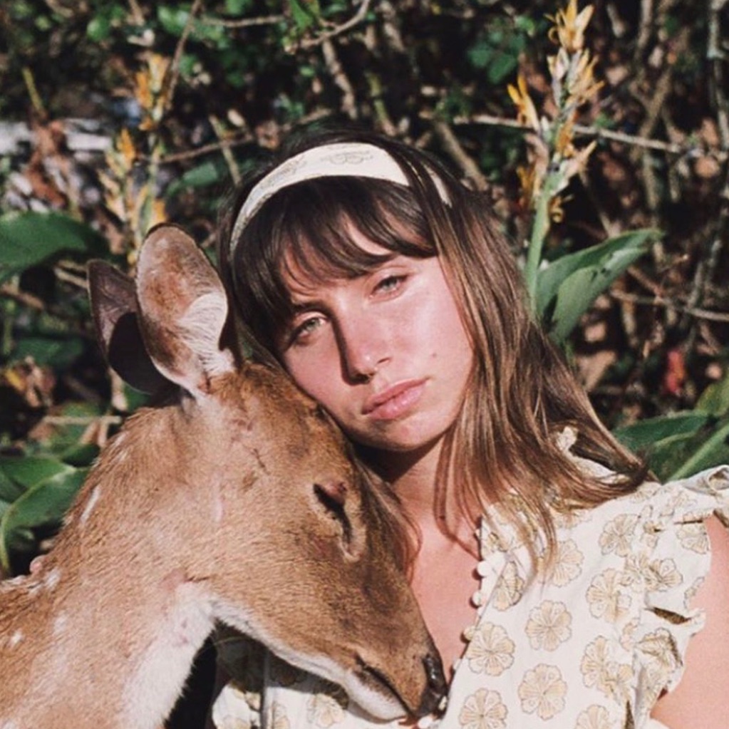 LILY MEOLA songs and albums | full Official Chart history