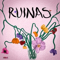 Letra Flores (feat. Mechas Kadeho) - Carolina - Letrafy.com