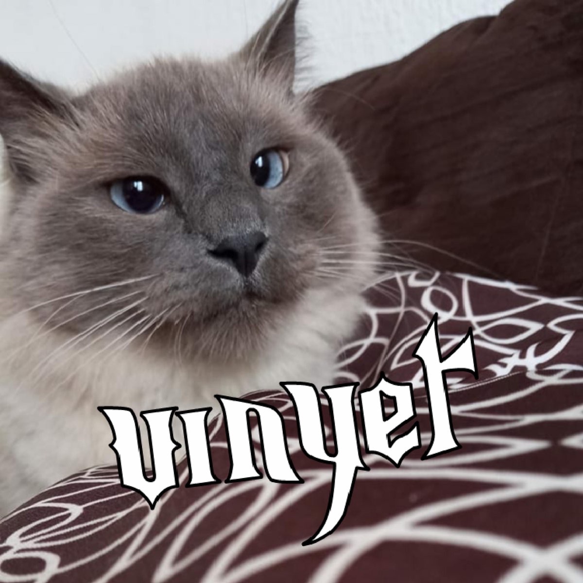 ‎Feliz Cumpleaños - Single by vinyet band on Apple Music