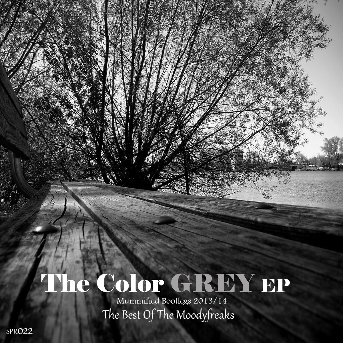 ‎The Color Grey EP (Mummified Bootlegs 2013 / 2014) de The Moodyfreaks ...