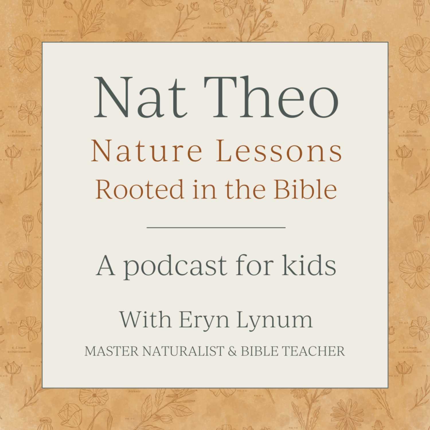 Why Do Capybara Eat Their Poop? Lesson 99 – Nat Theo Nature Lessons ...