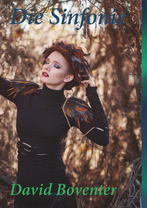 (Download) "Die Sinfonie" by David Boventer ~ Book PDF Kindle ePub Free - Download PDF, ePub ...