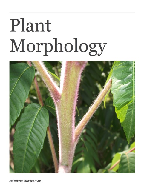 plant-morphology-title-by-jennifer-soukhome-on-apple-books