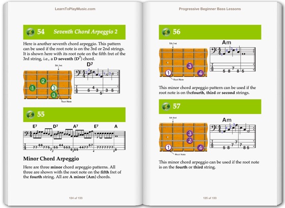 ‎Bass Guitar Lessons for Beginners on Apple Books
