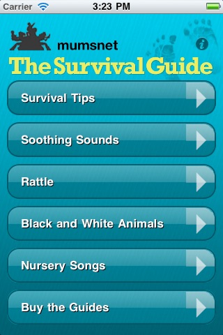 Mumsnet: The Survival Guide by Bloomsbury Publishing