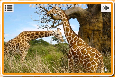 Flash Cards English Free by FunFunSoft