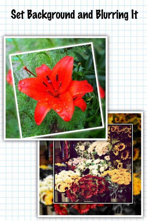 PhotoBG - HD Wallpaper for iPhone, iPad, Mac, P... by GMY Studio