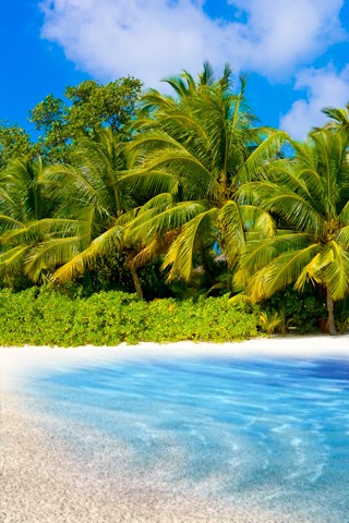 Tropical Beach Animated Clock LITE by David iSoft