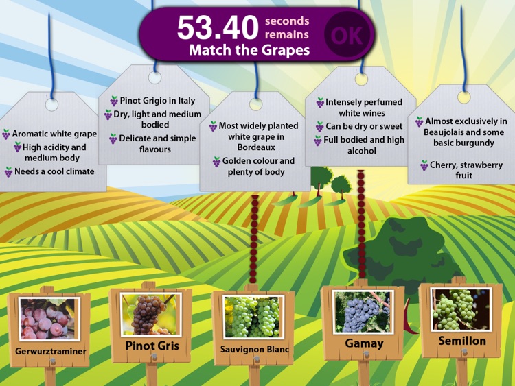 Grape Number Game by Digicrafts