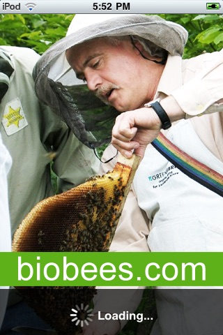 BioBees - The Barefoot Beekeper Talking About The Natural Approach To ...