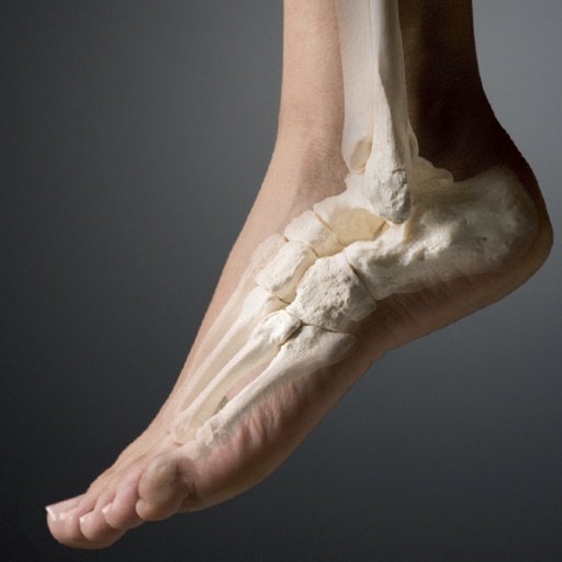 Leg.Fractures by Alexander Varey