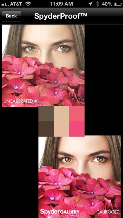 Spyder4Gallery by Datacolor